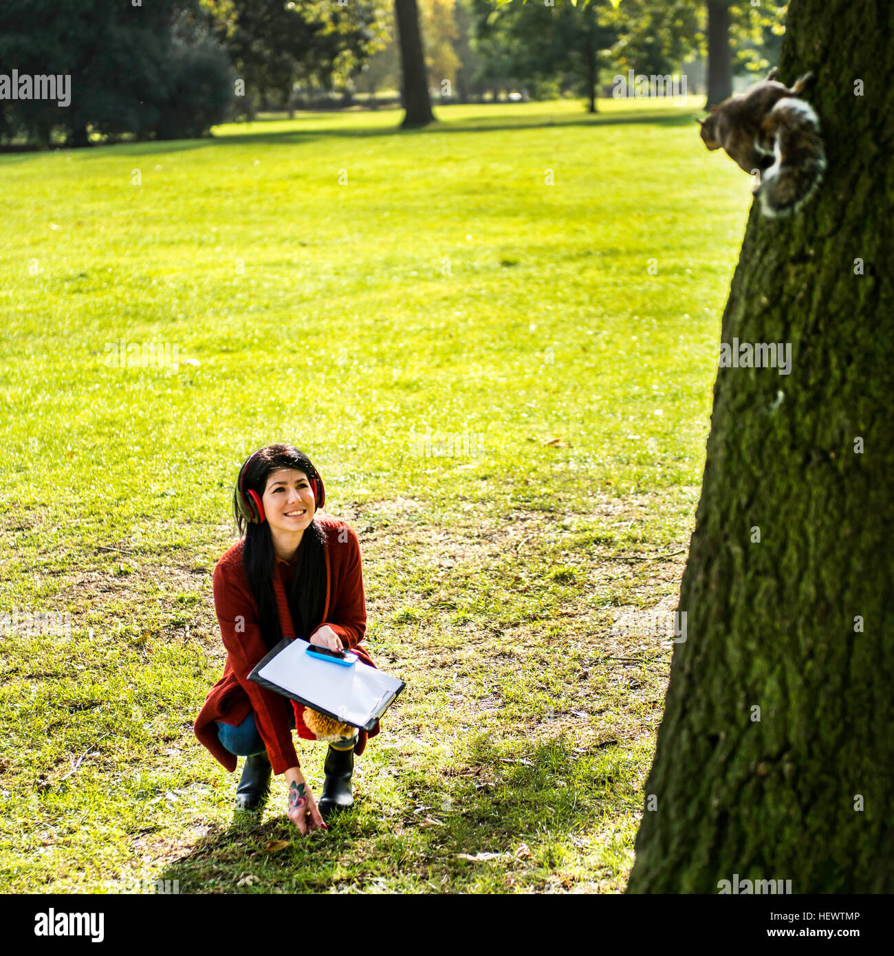 Young woman crouching in park, looking at squirrel in tree Stock Photo ...