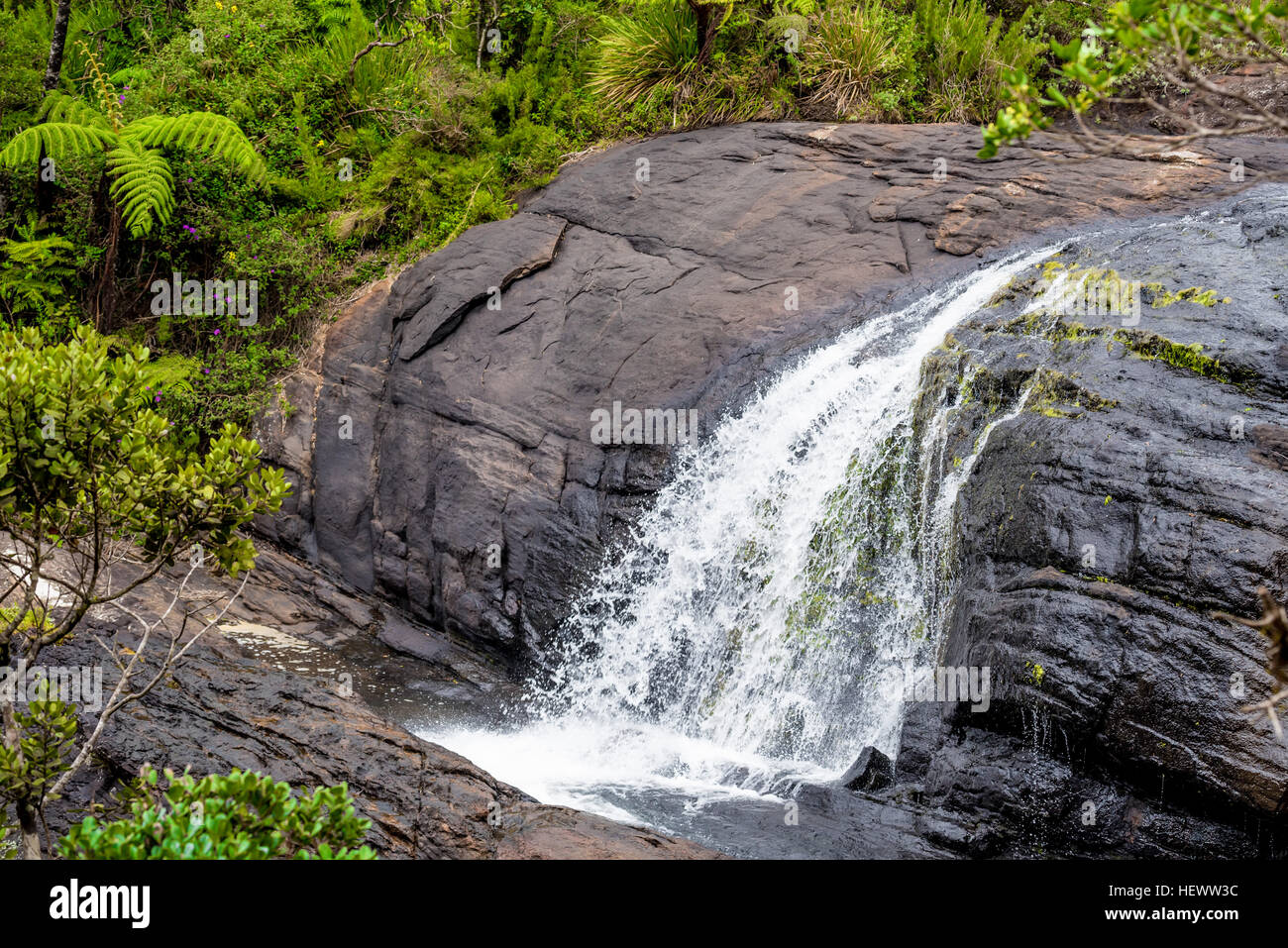 Bakers Falls In Horton Plains, Sri Lanka. The Height Of Bakers ...