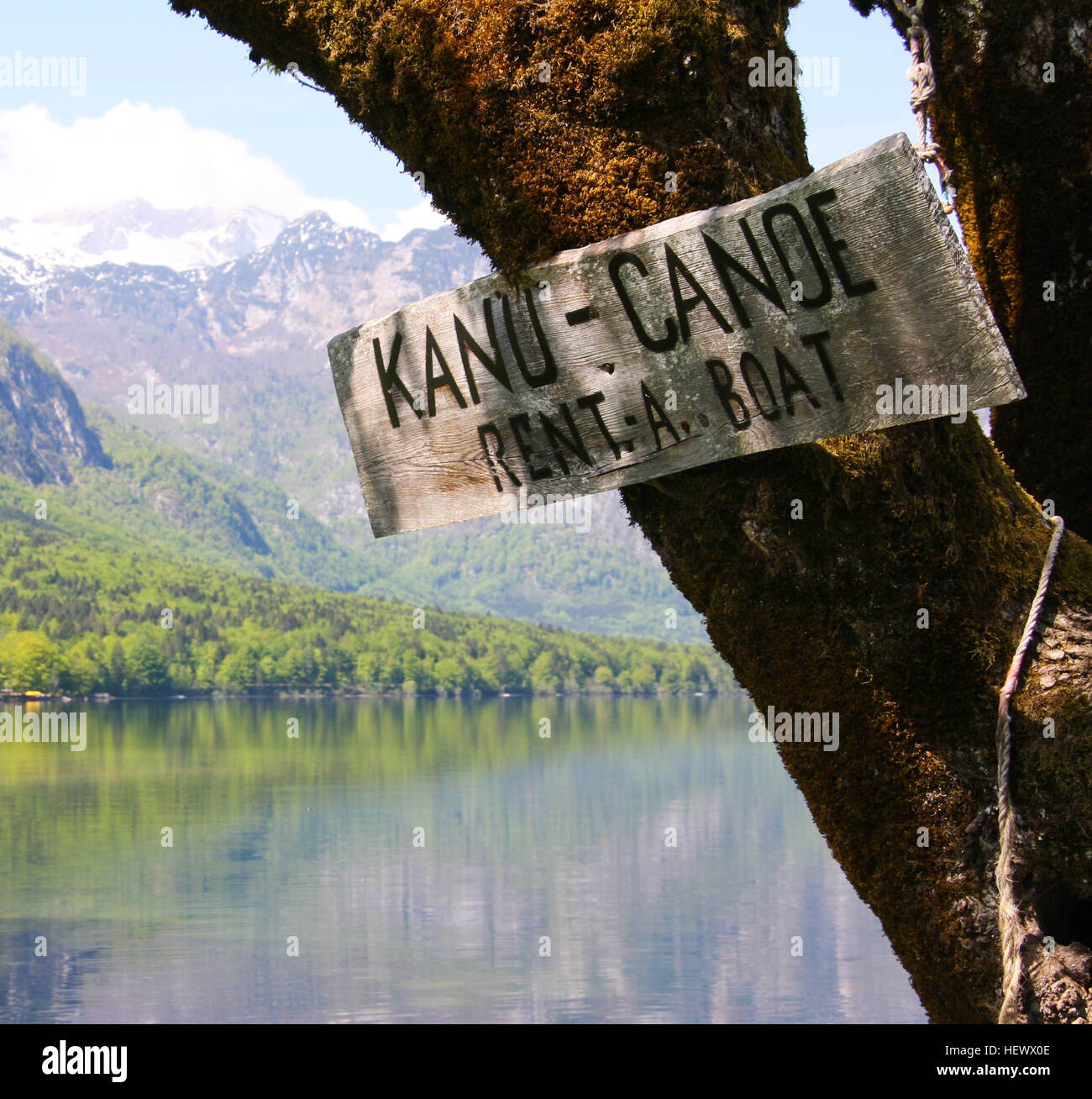 Canoe tree hi-res stock photography and images - Alamy