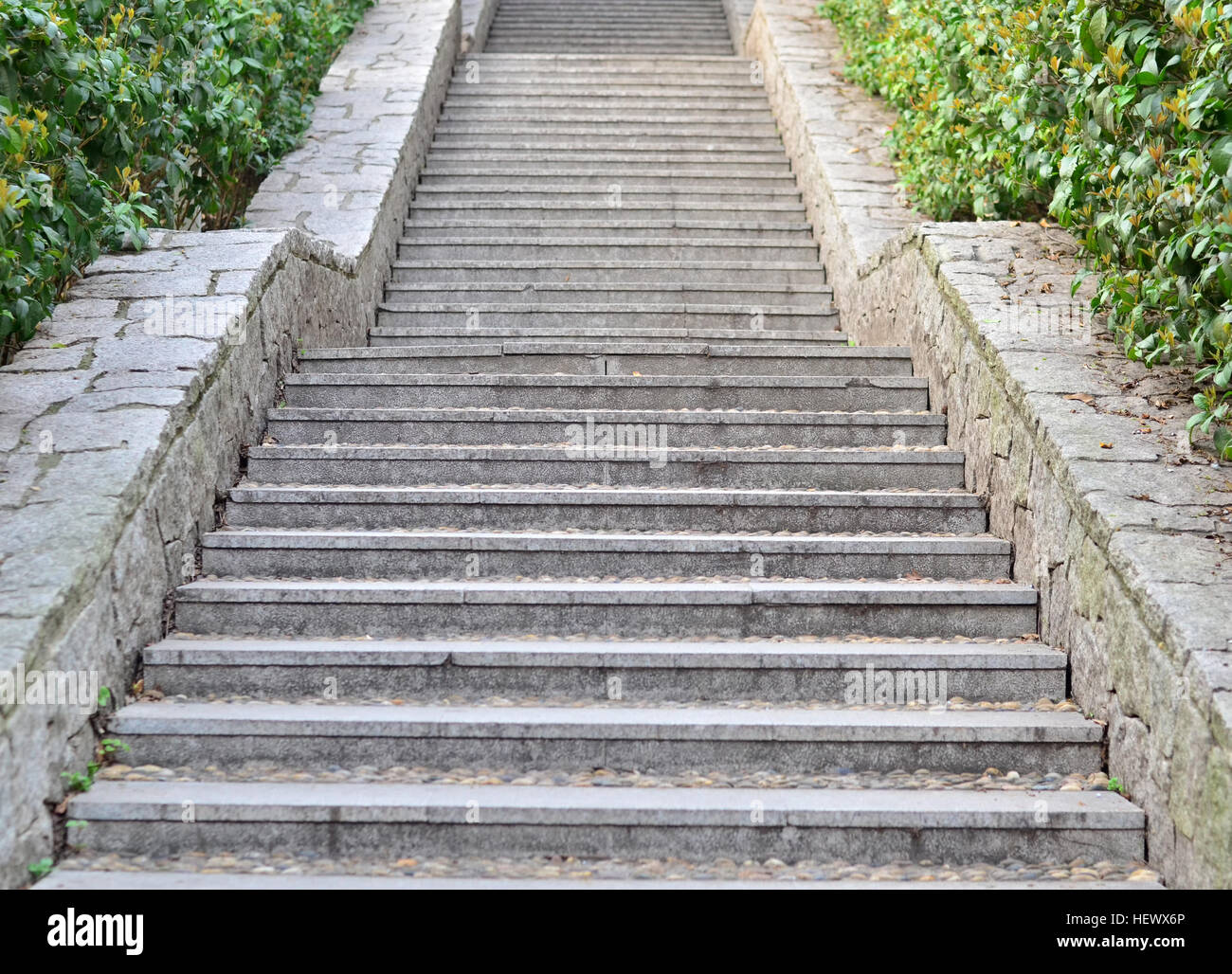 Solid wood steps hi-res stock photography and images - Alamy