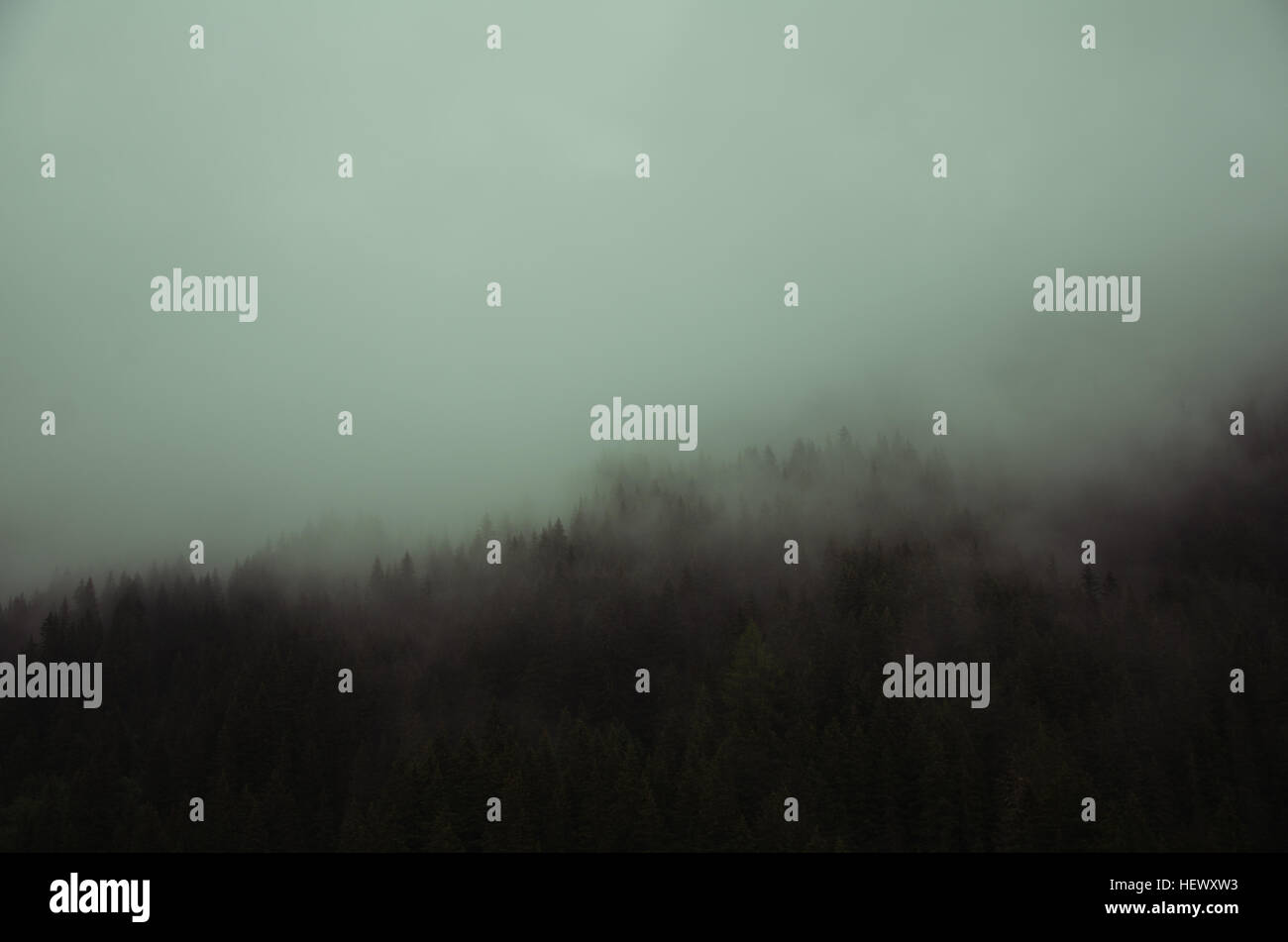 Waterfall in fog Stock Photo - Alamy