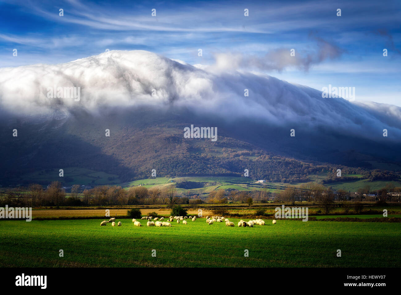 Sheep in basque country hi-res stock photography and images - Alamy