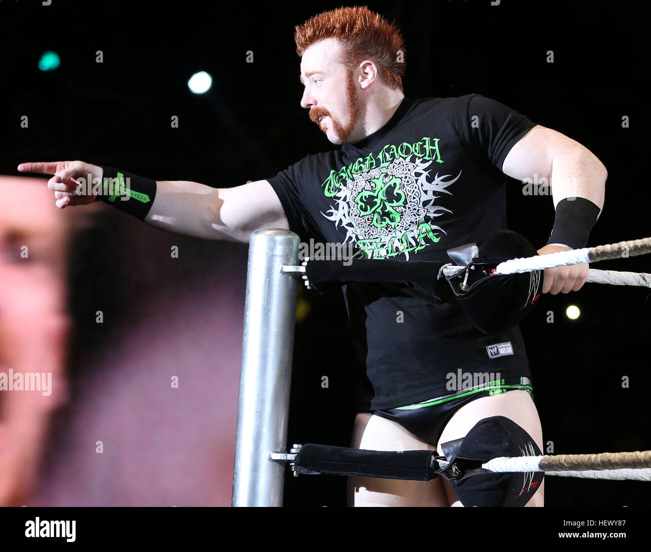 Sheamus 2007