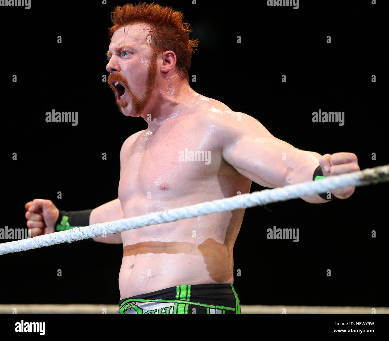 Sheamus Wwe High Resolution Stock Photography and Images - Alamy