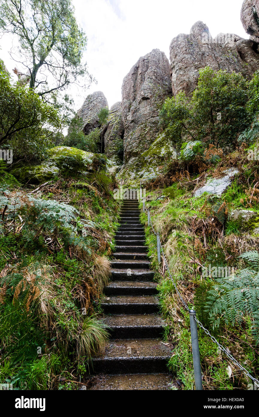 Wet stairs hi-res stock photography and images - Alamy