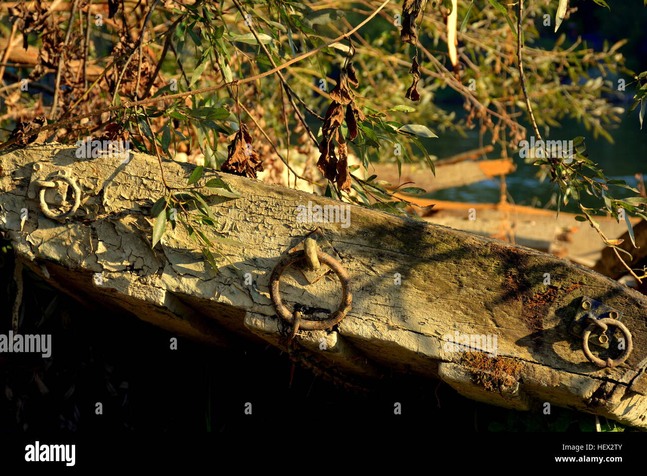 Stranded wooden boat on the Drava river's waterside Stock Photo - Alamy