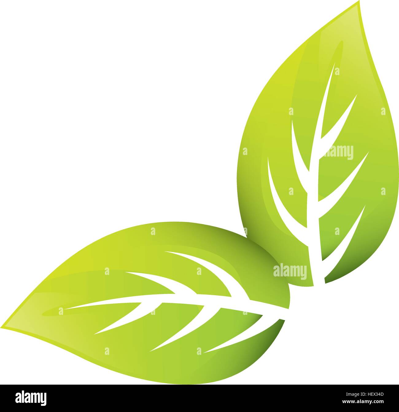 Leaves natural concept Stock Vector Image & Art - Alamy