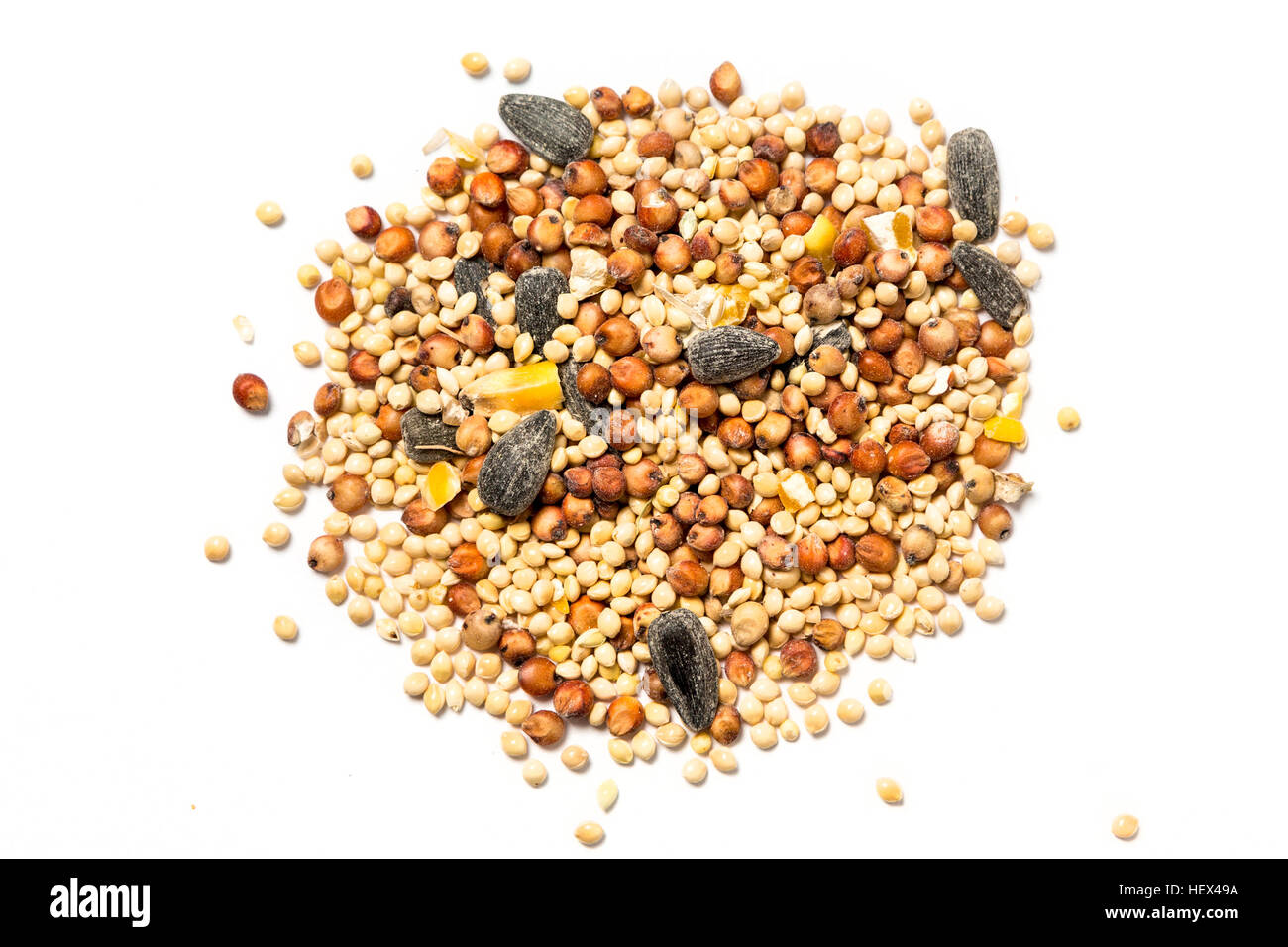 Bird seed isolated on white background Stock Photo - Alamy