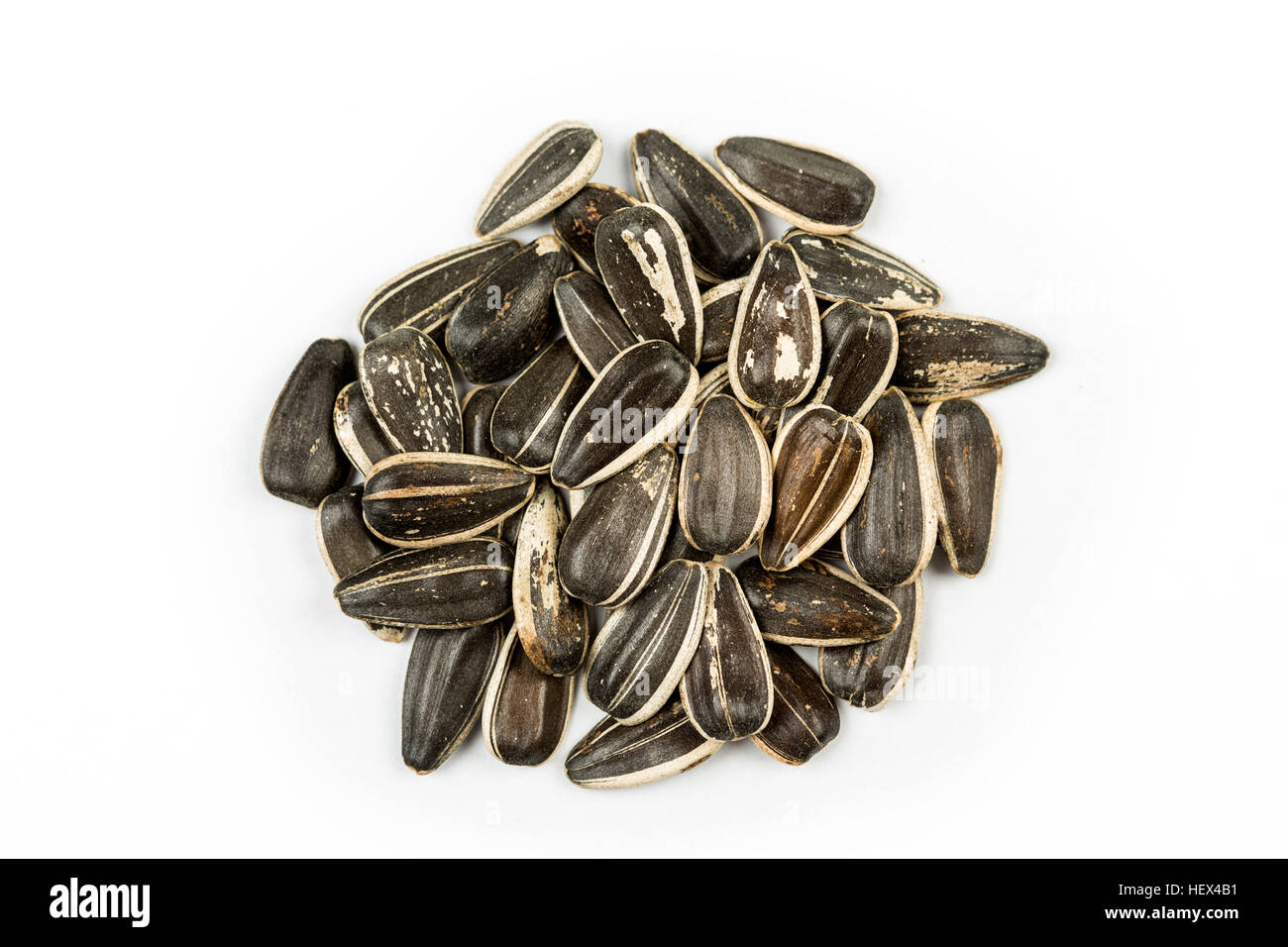Unsalted raw sunflower seeds isolated on white background Stock Photo ...
