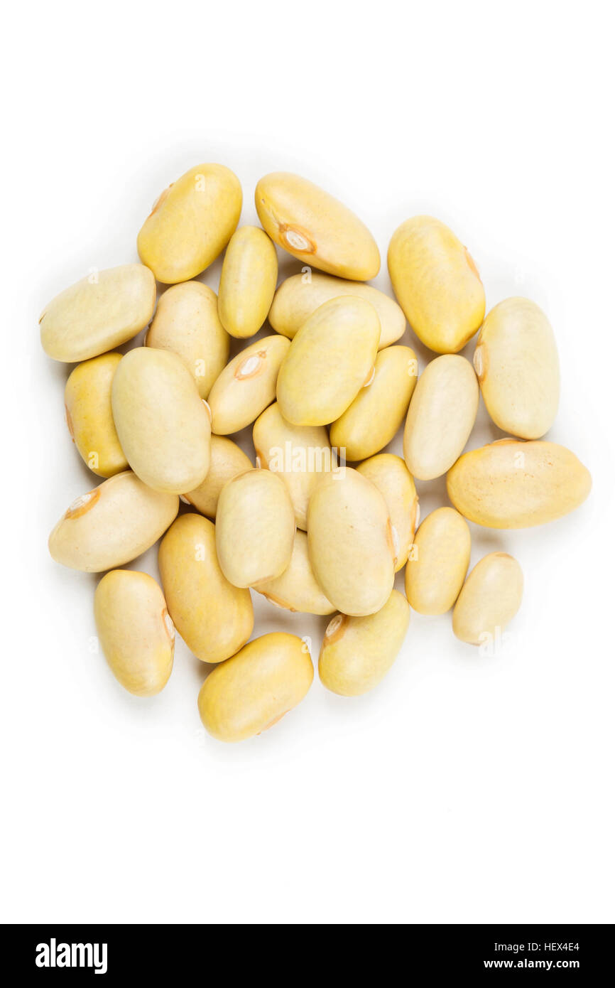 Mayo coba beans isolated on white background Stock Photo - Alamy