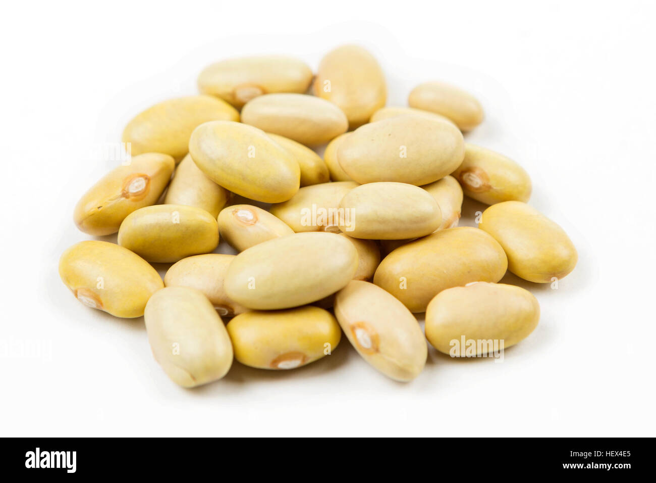 Mayo coba beans isolated on white background Stock Photo - Alamy