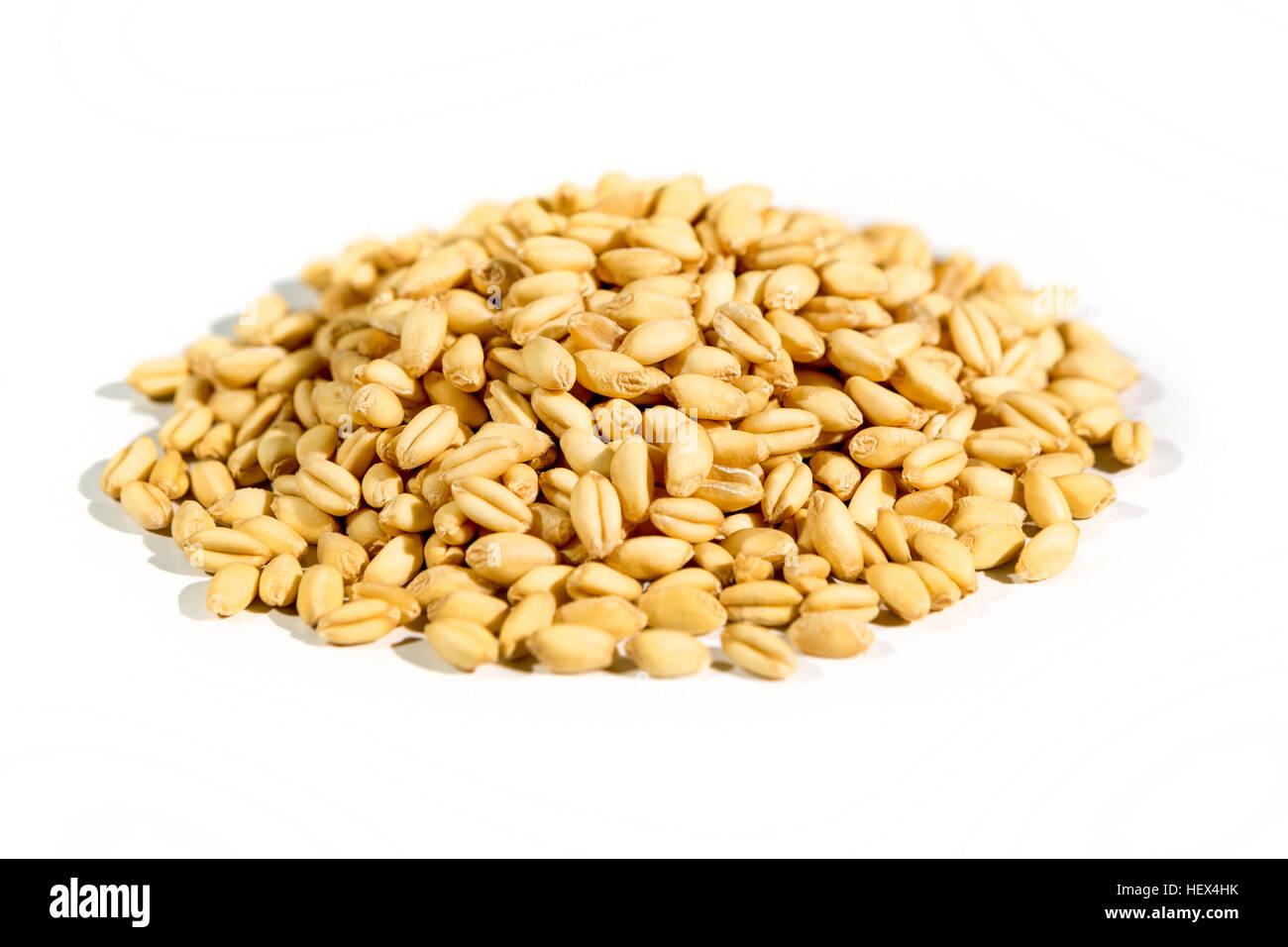 Organic soft white wheat isolated on white Stock Photo - Alamy