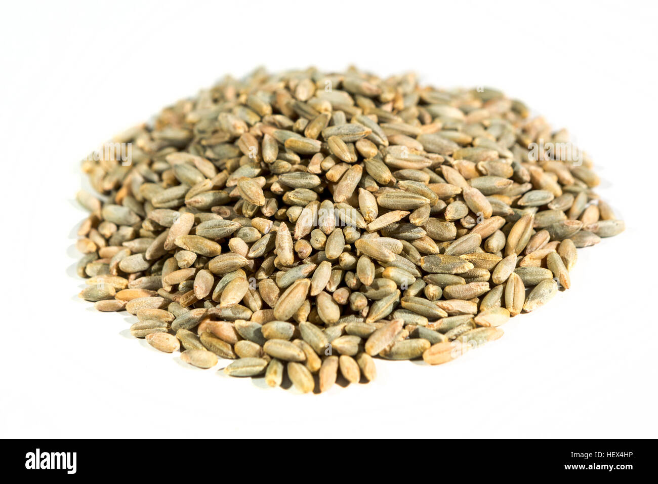 Organic rye grains isolated on white Stock Photo - Alamy