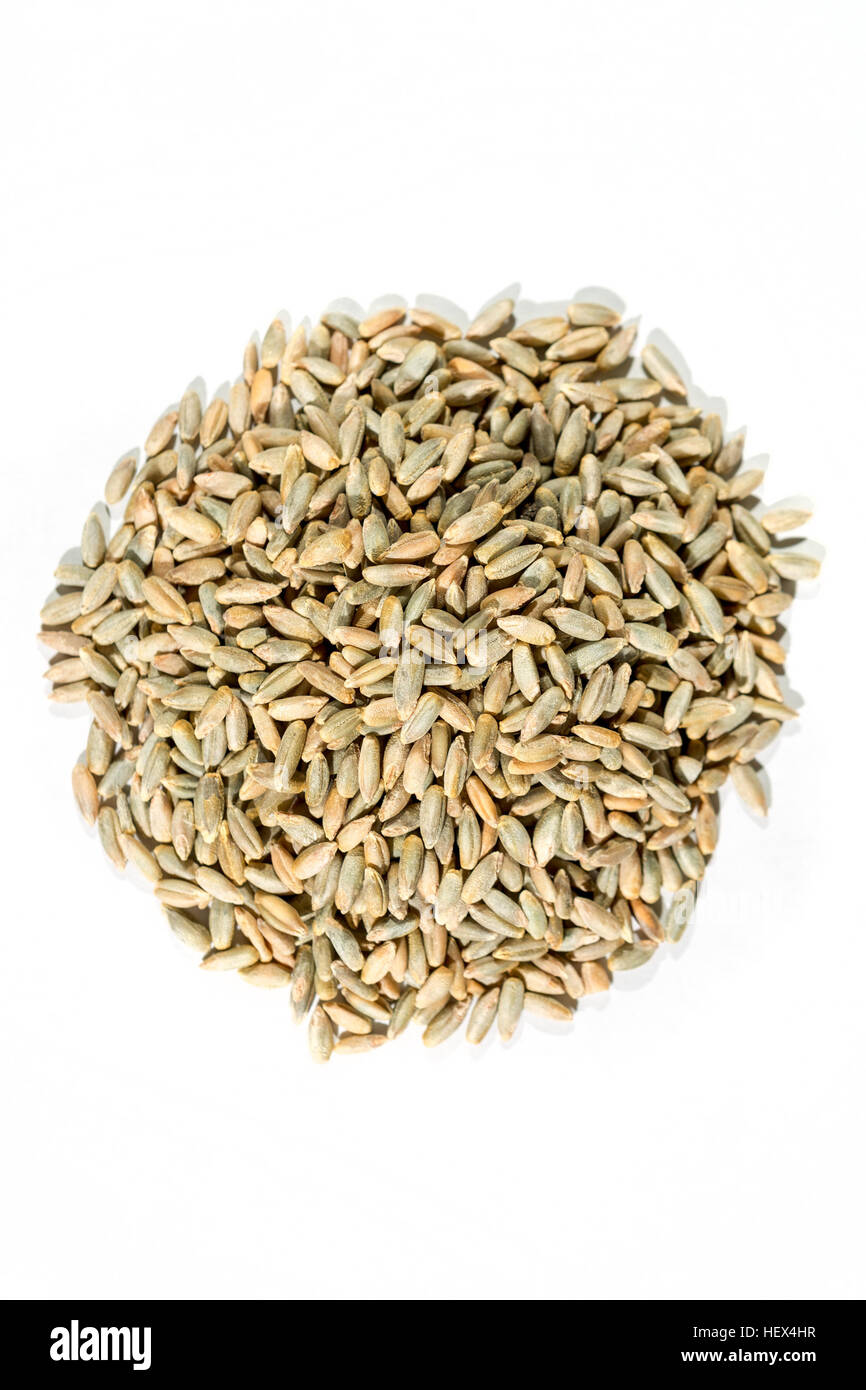 Rye grains hi-res stock photography and images - Alamy
