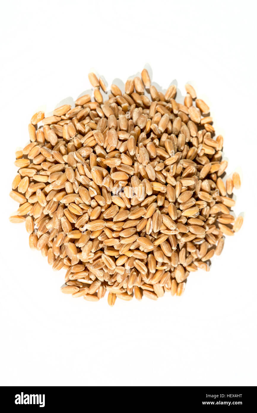 Organic spelt grains isolated on white Stock Photo - Alamy