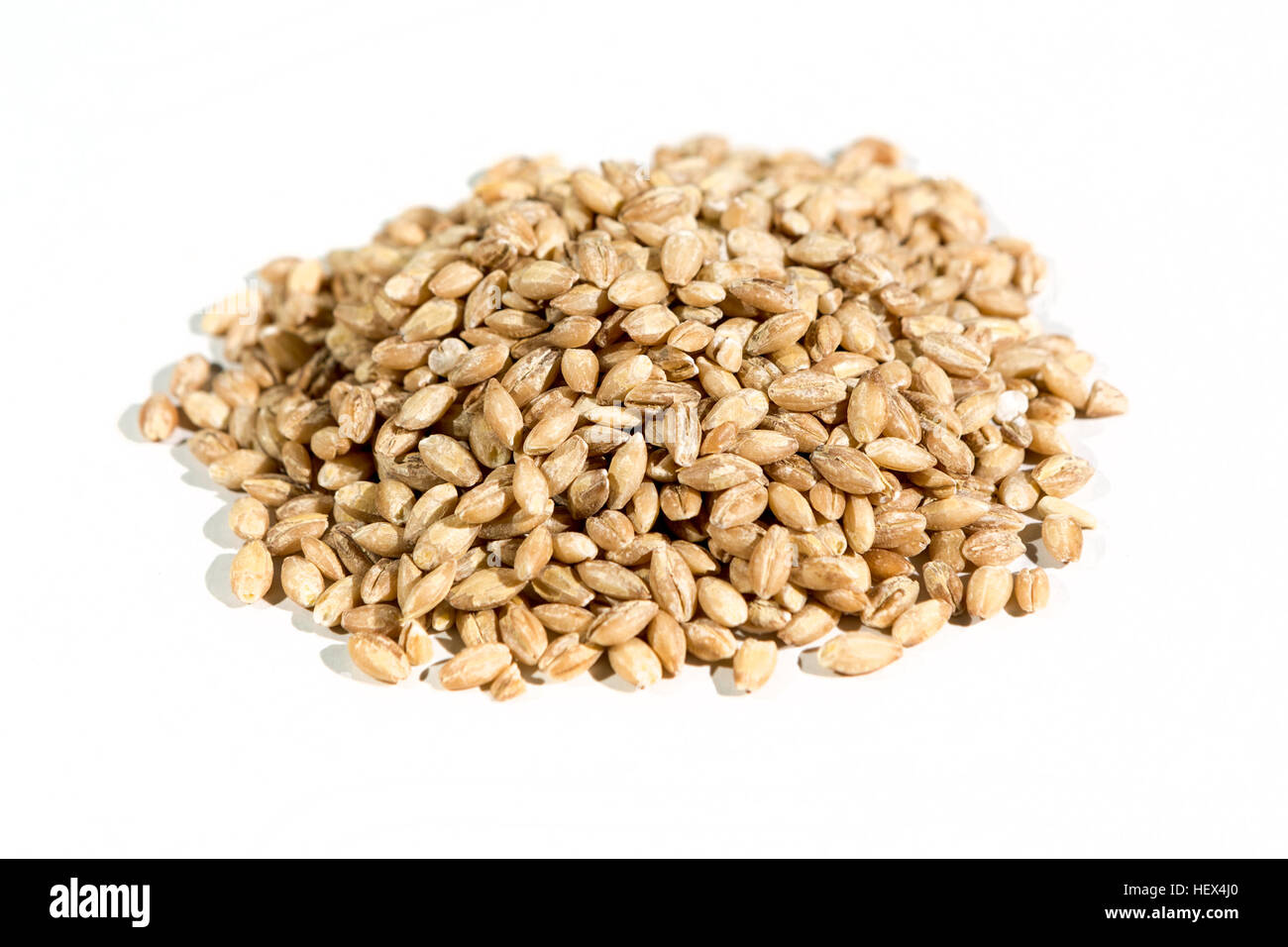 Barley Grains High Resolution Stock Photography and Images - Alamy