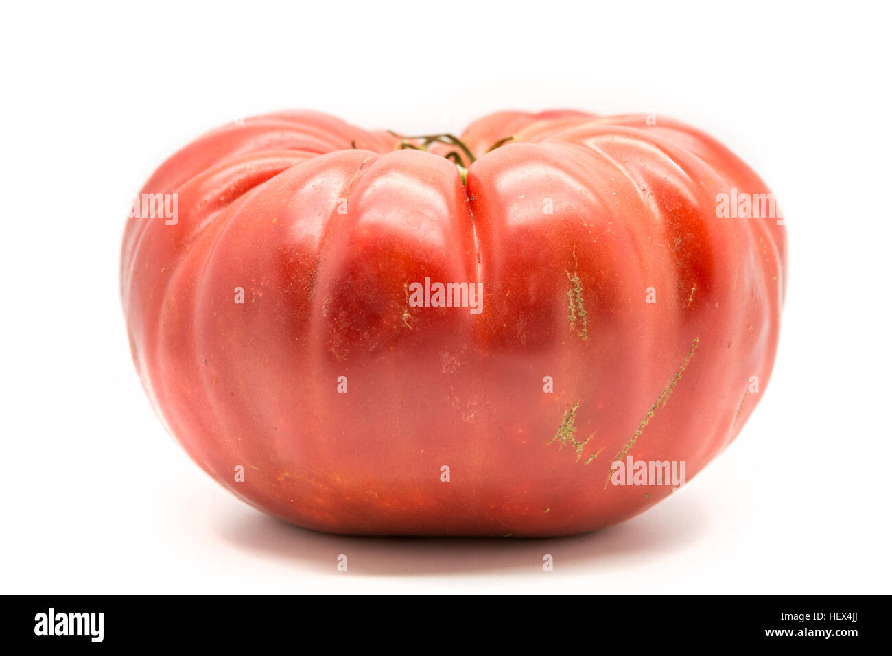 Homegrown heirloom tomato isolated on white Stock Photo - Alamy