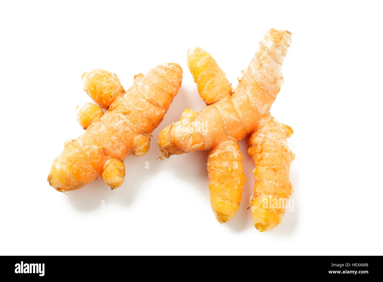 Fresh turmeric root Stock Photo - Alamy