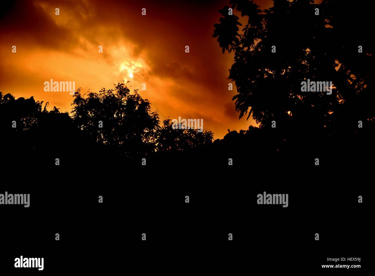 Nature at its very best in the fall of November from Ooty Stock Photo ...