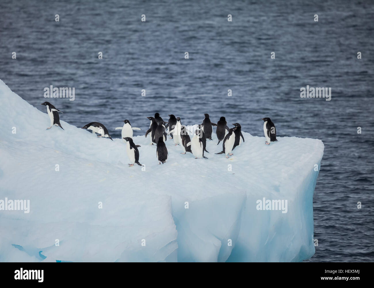 An iceberg or ice mountain is a large piece of freshwater ice that has ...