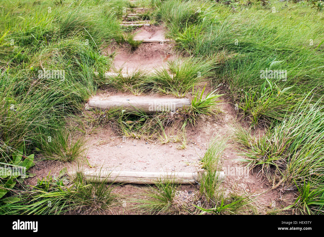 Step steps stepping stepped hi-res stock photography and images - Alamy
