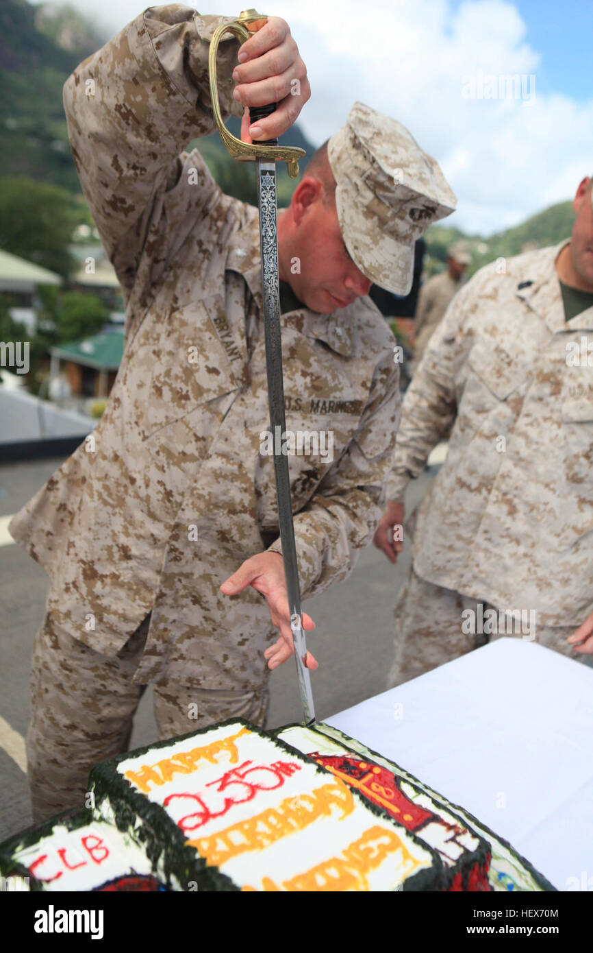 Lieutenant Colonel Timothy Bryant, the commanding officer of Combat ...