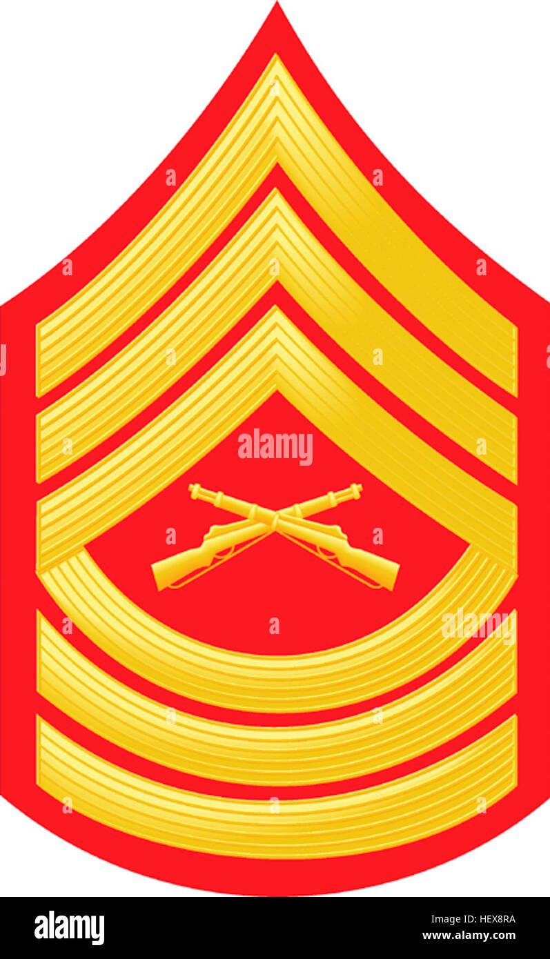 E8a USMC MSGT Stock Photo - Alamy