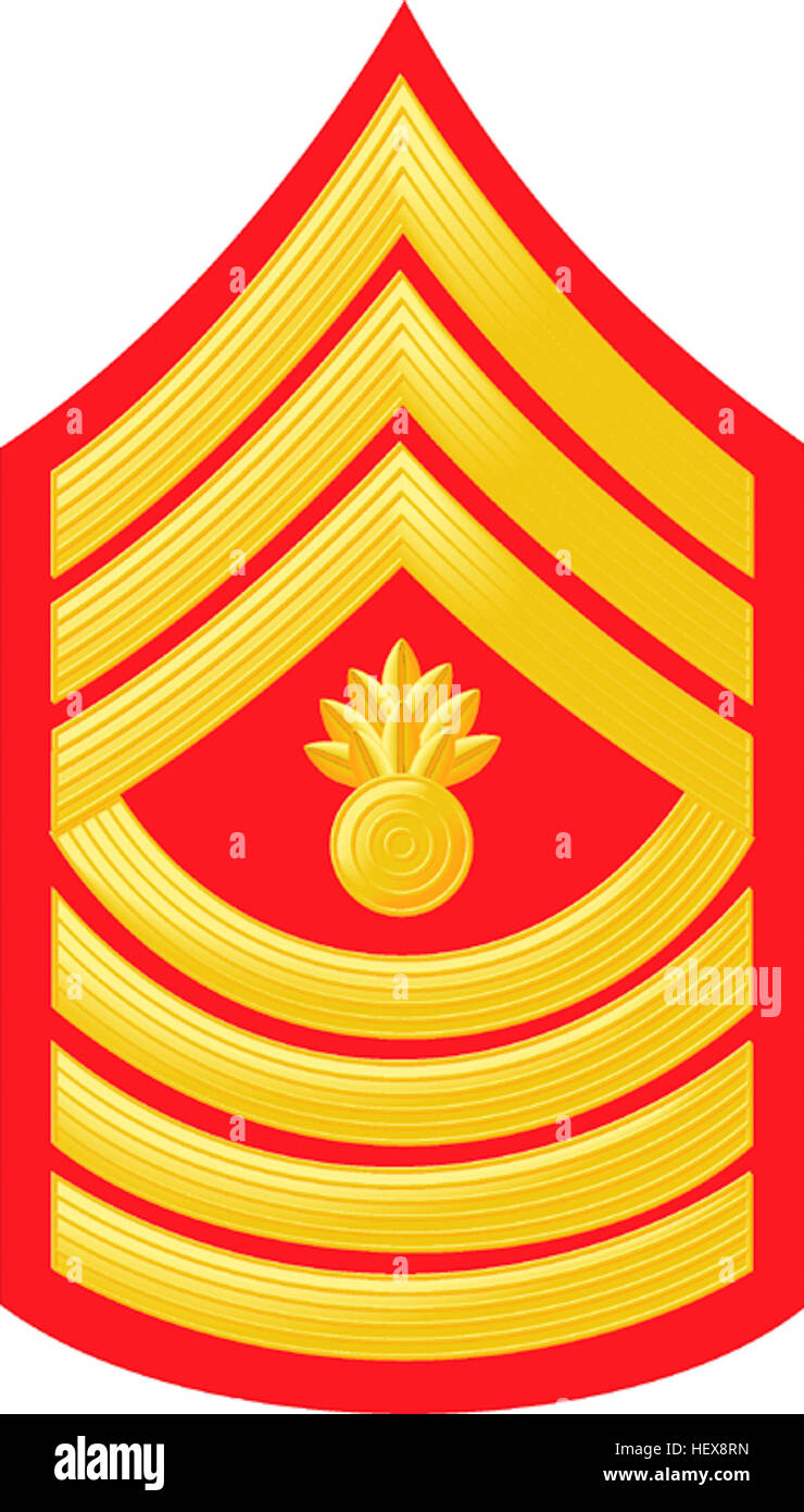 E9a USMC MGSGT Stock Photo - Alamy