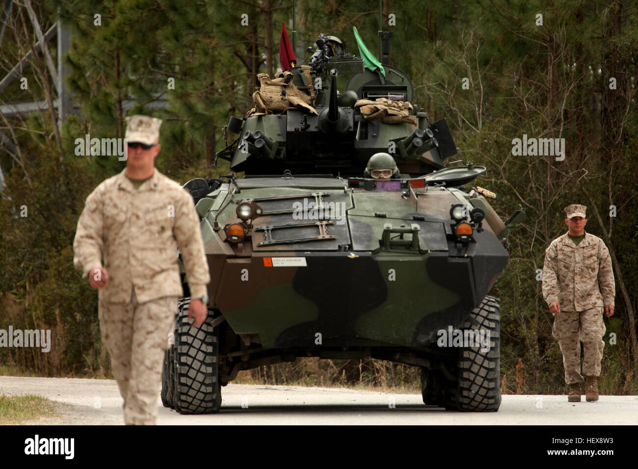 Light armored reconnaissance battalion hi-res stock photography and ...
