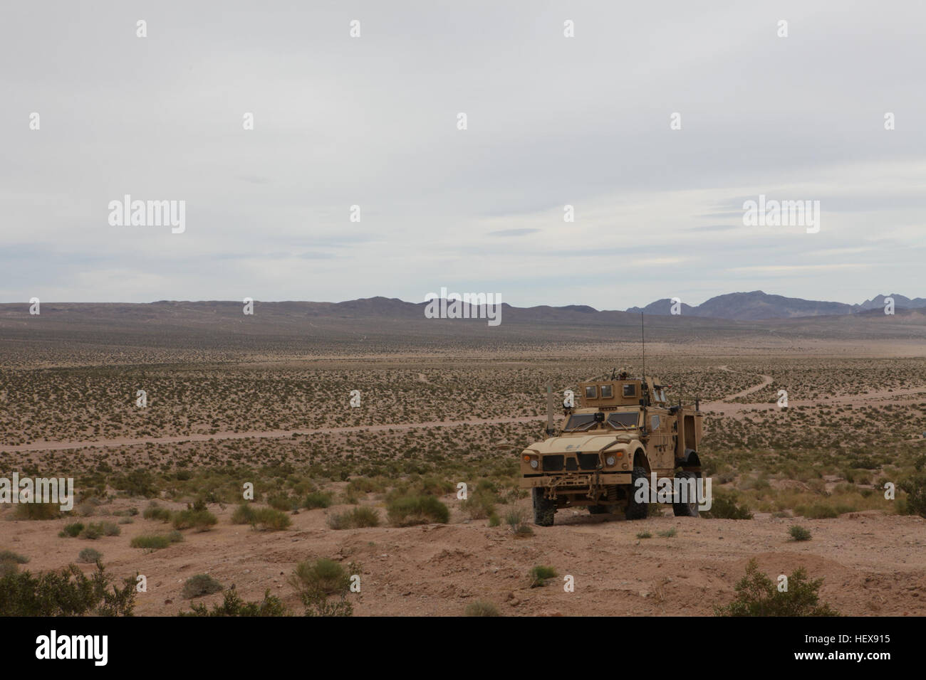 A U.S. Marine Corps Forces, Special Operations Command M-ATV rolls ...