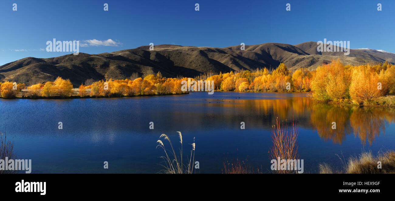 Autumn, interchangeably known as fall in North America, is one of the ...