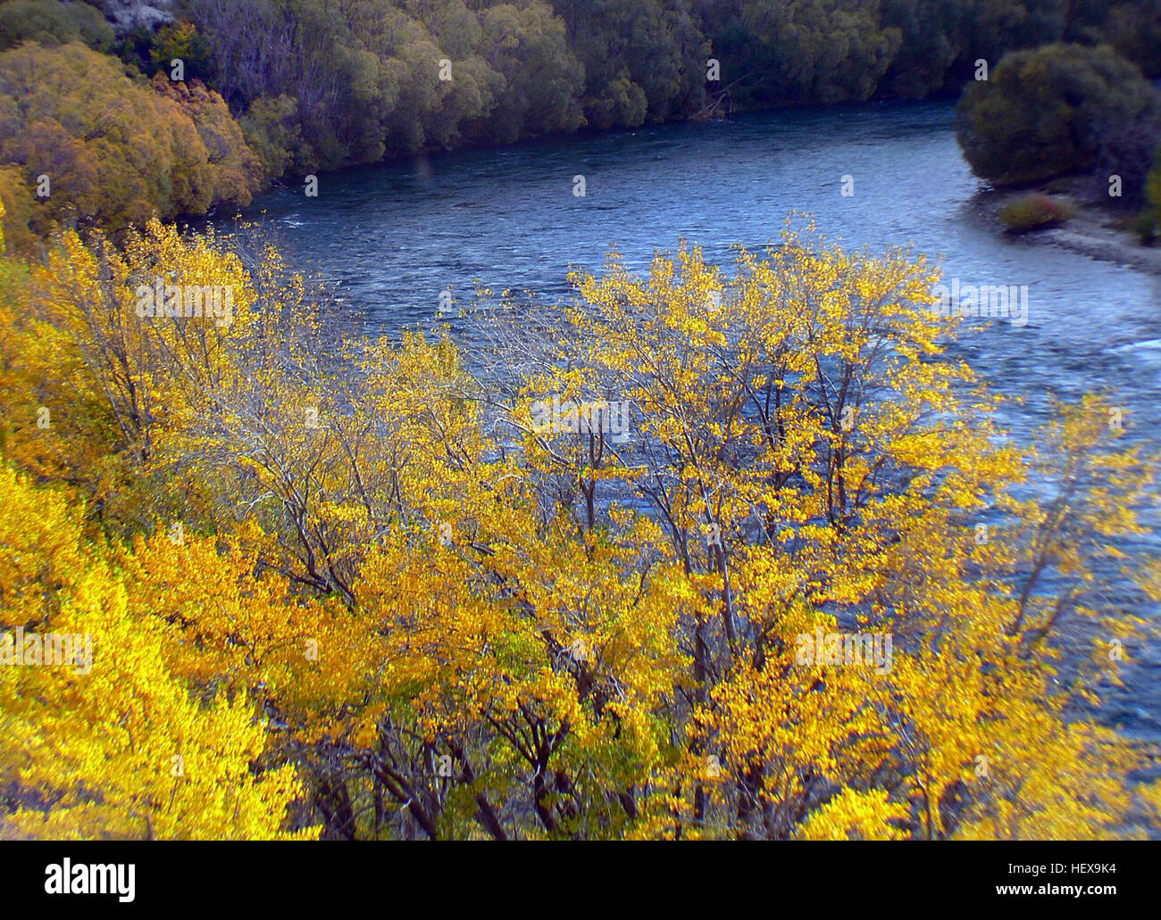 A vibrant photograph capturing the autumn colors in Otago, New Zealand ...