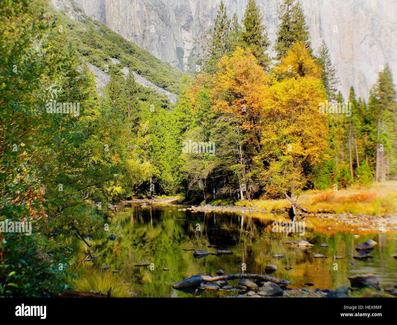 Beautiful view in national park hi-res stock photography and images - Alamy