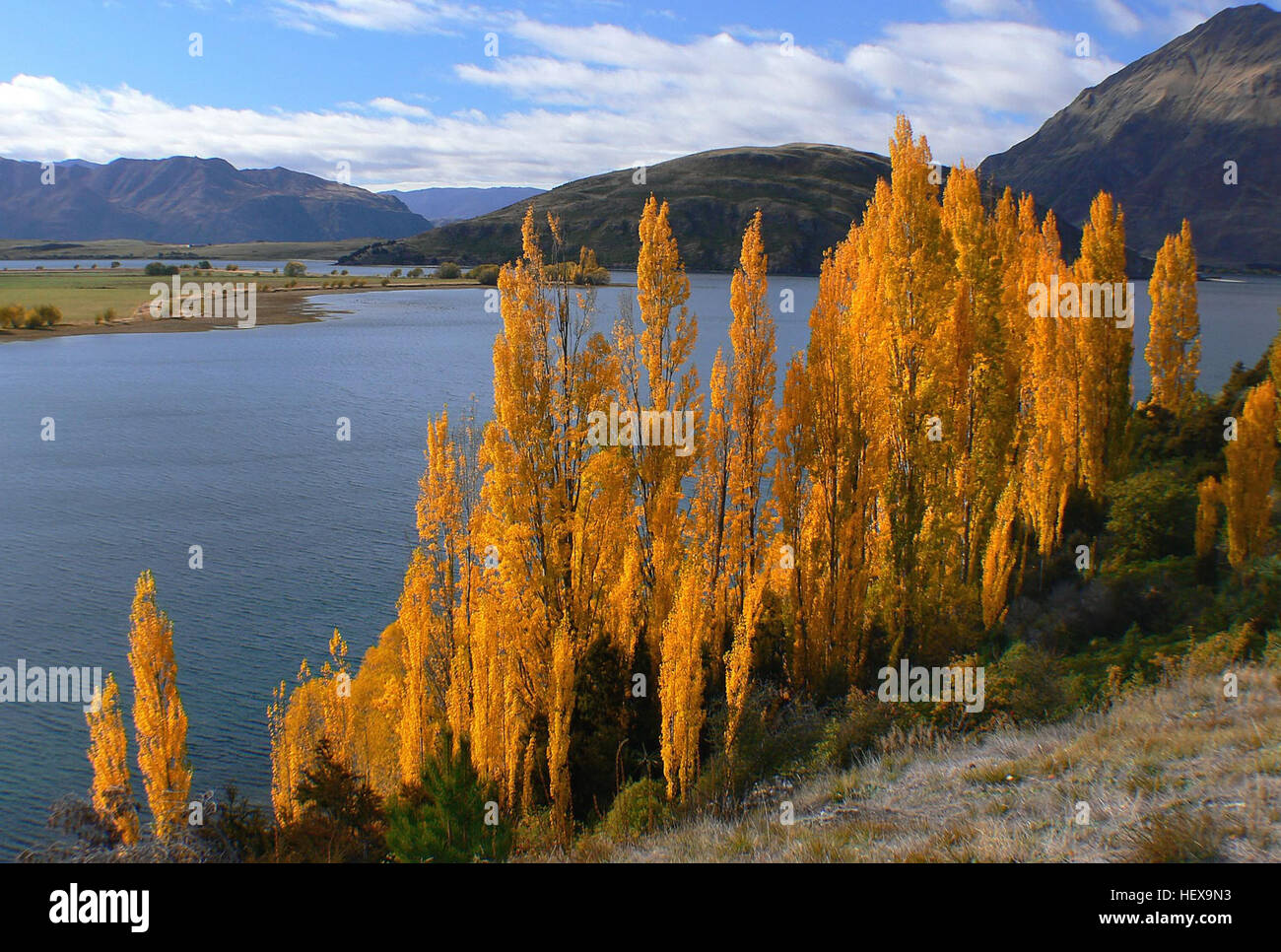 This photograph captures the vibrant autumn colors in the Otago region ...