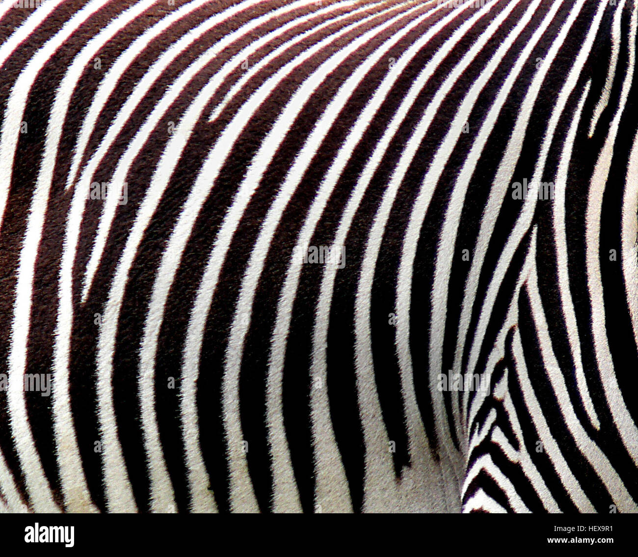Lesotho biodiversity hi-res stock photography and images - Alamy