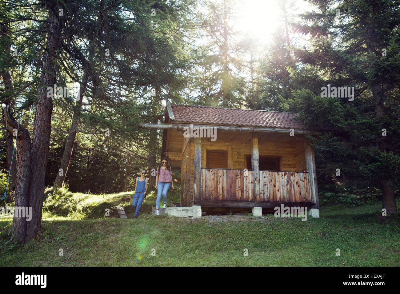 Log cabin forest hi-res stock photography and images - Alamy