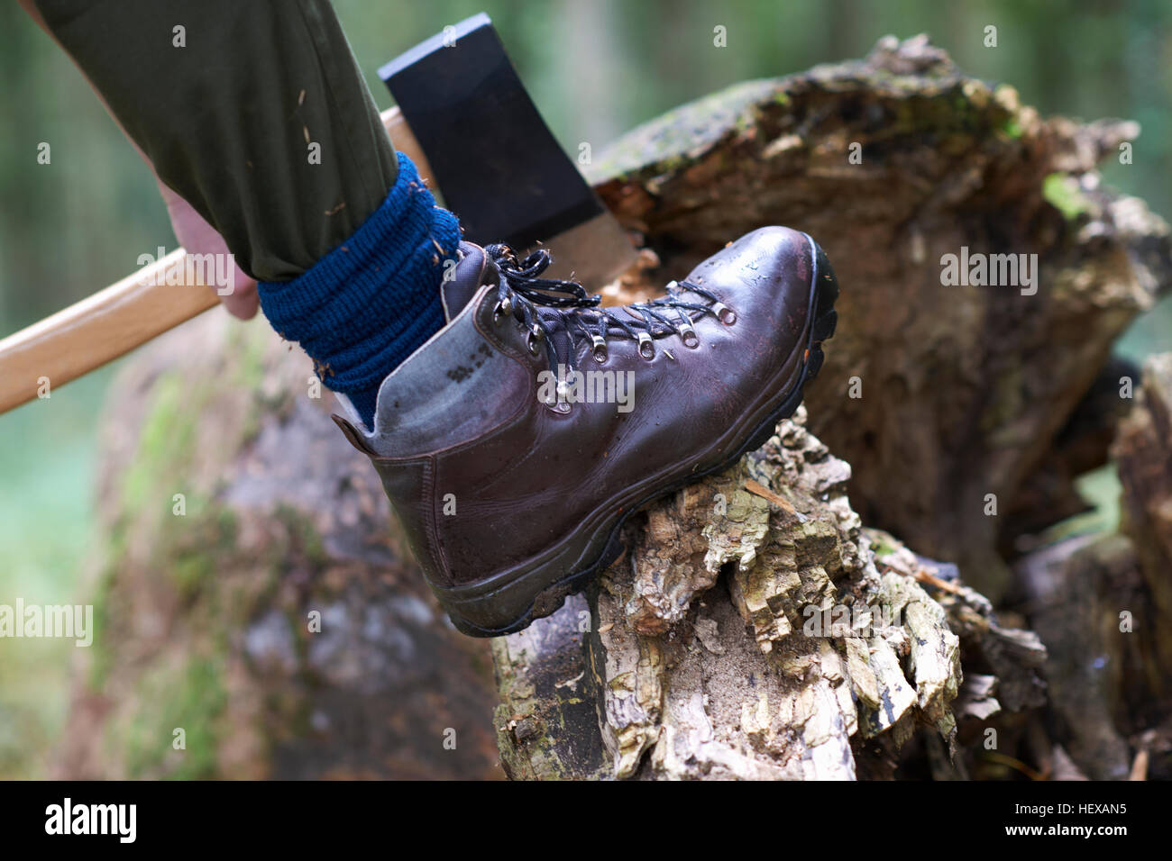 Leg stump hi-res stock photography and images - Alamy