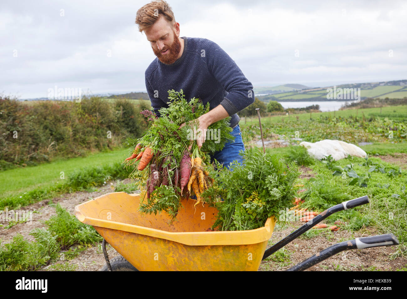 Man at farm hi-res stock photography and images - Alamy