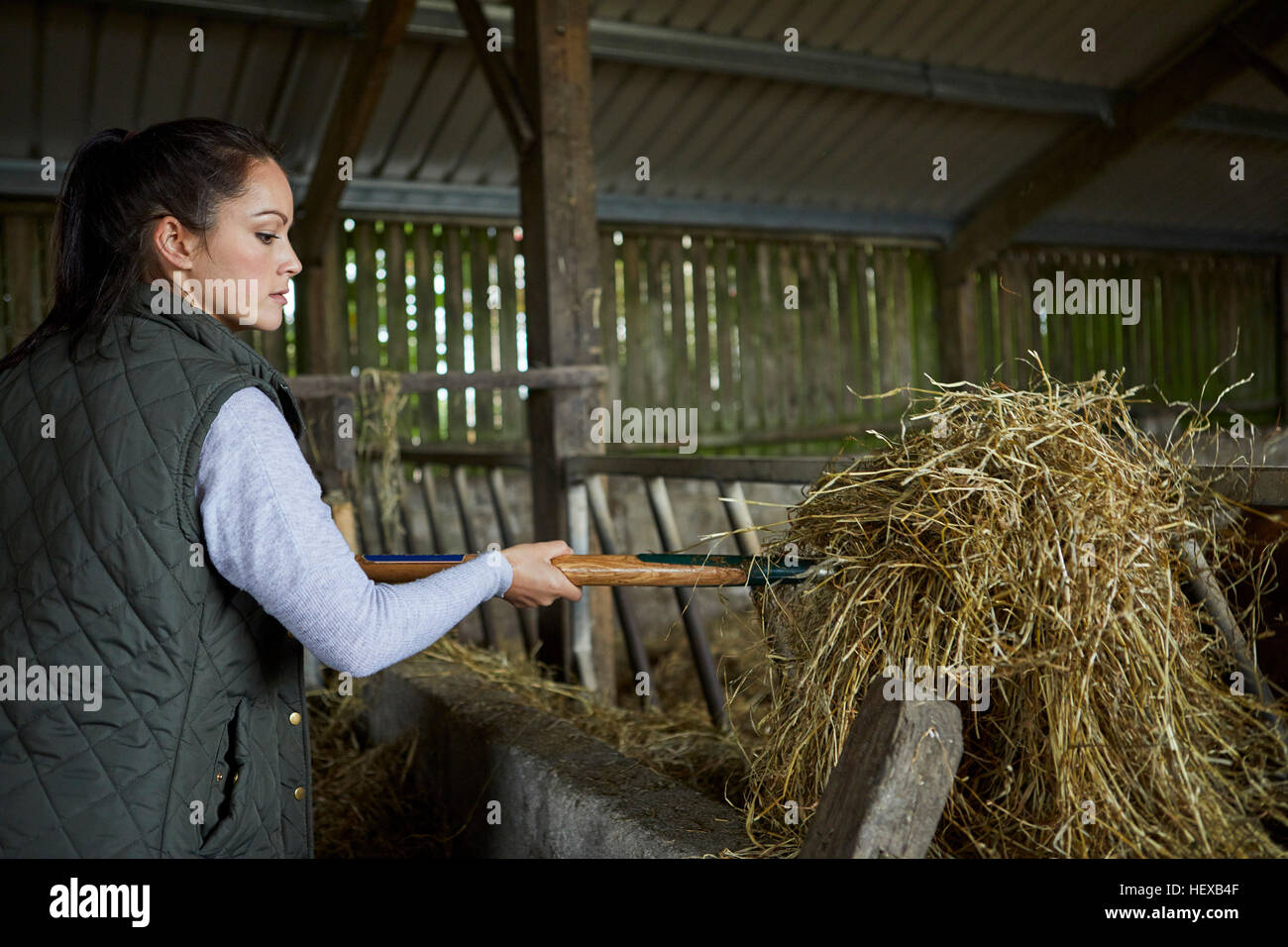 Woman and barn hi-res stock photography and images - Alamy