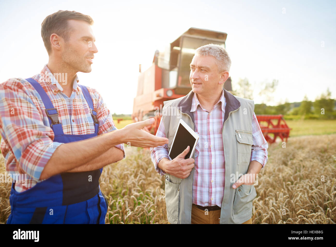 Farmers in wheat field having discussion Stock Photo - Alamy