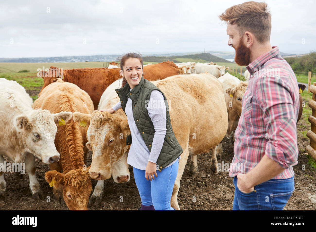 Young couple on cow farm Stock Photo - Alamy