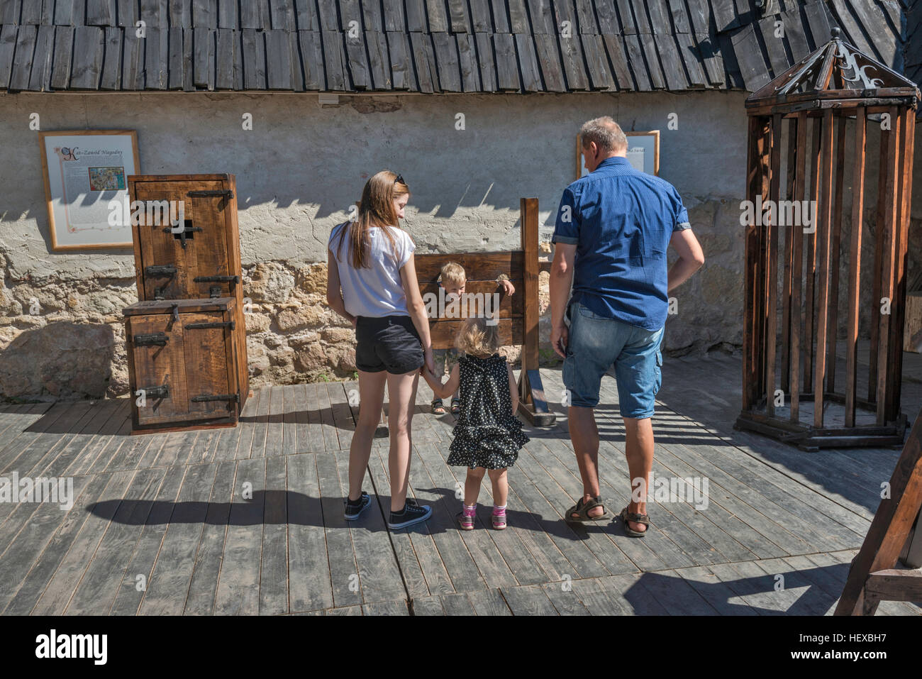 Shrews fiddle hi-res stock photography and images - Alamy