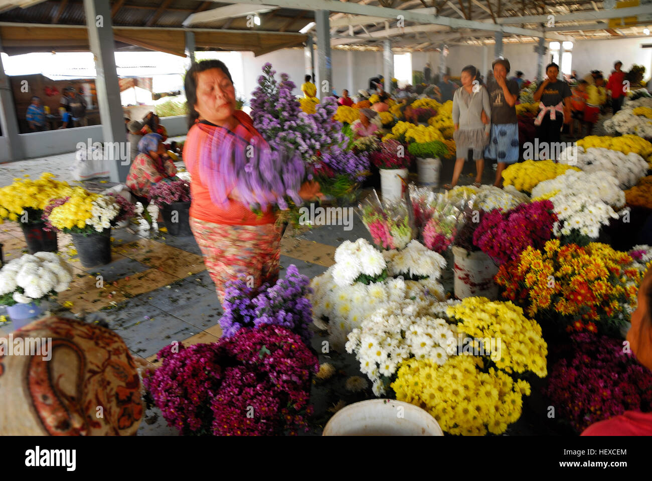 Sumatra, Indonesia. 22nd Dec, 2016. The botanical flower market village ...