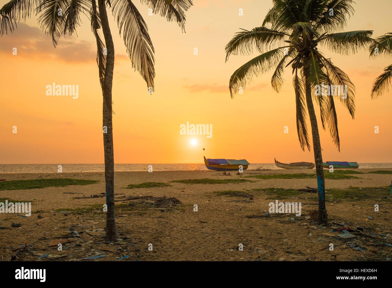 Golden sunset at the beach in Kerala, South India Stock Photo - Alamy