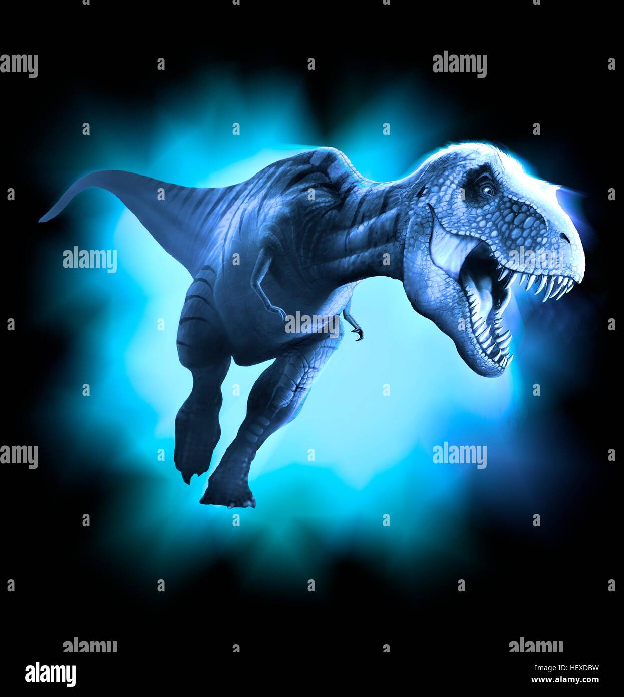 T rex tyrannosaurus rex hi-res stock photography and images - Alamy
