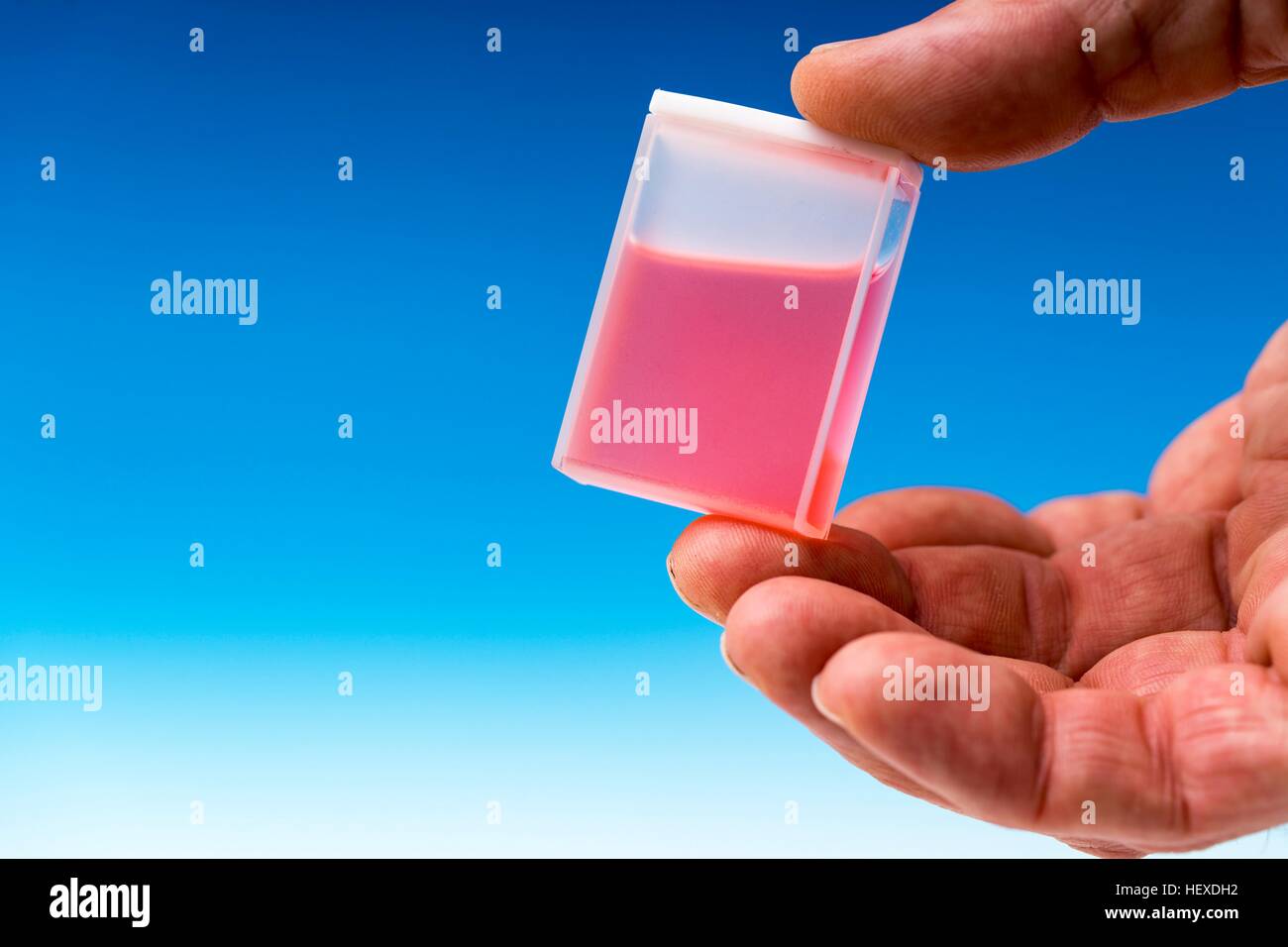 Cuvette with the sample liquid hi-res stock photography and images - Alamy