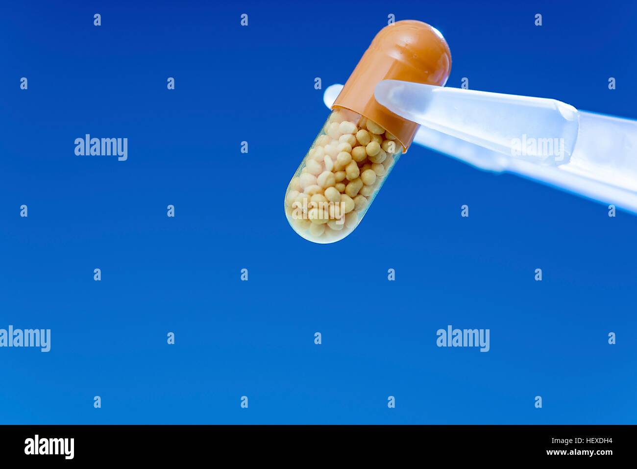 Capsule against a blue background Stock Photo - Alamy