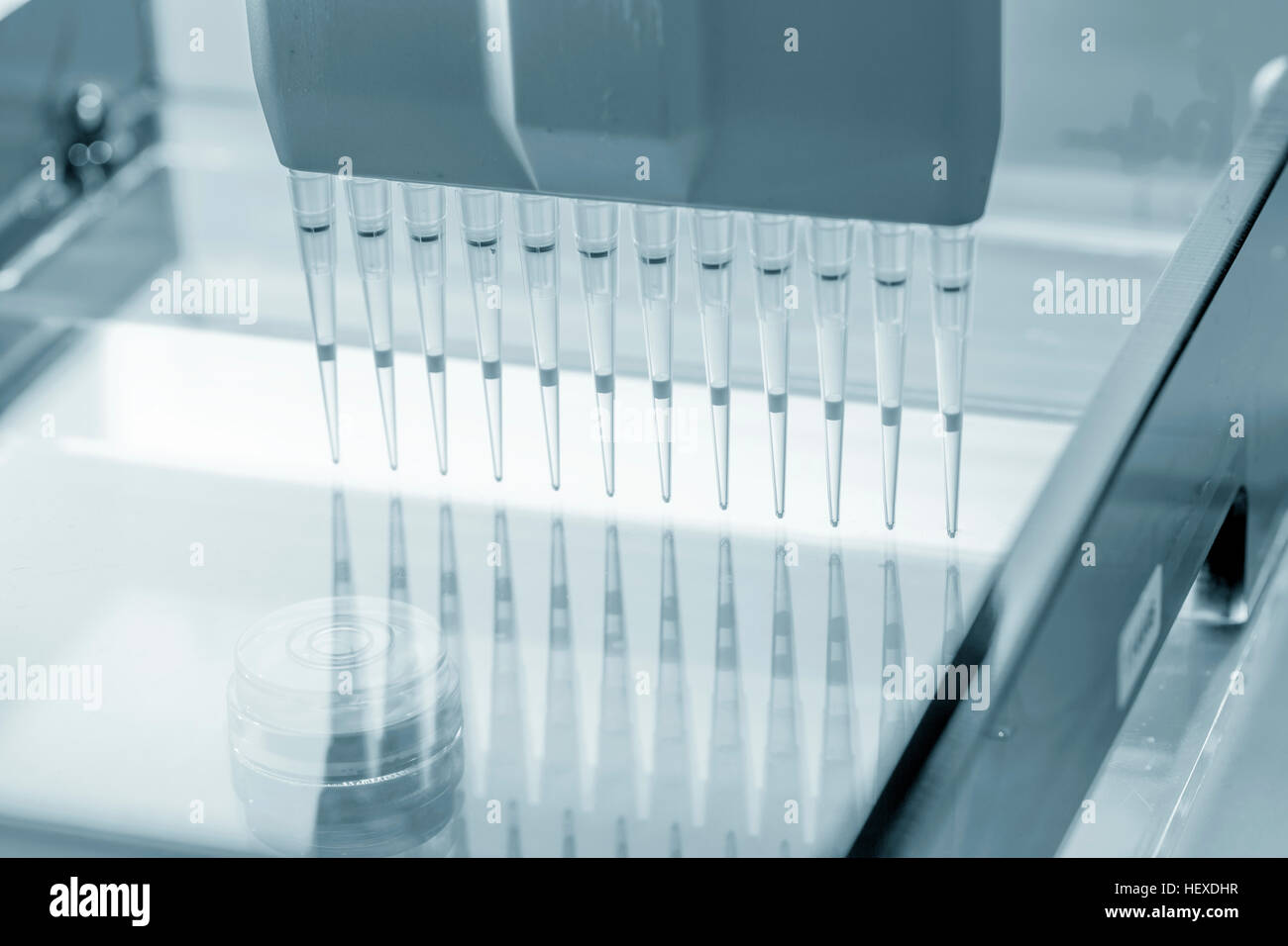 Micropipette tubes in the laboratory Stock Photo - Alamy