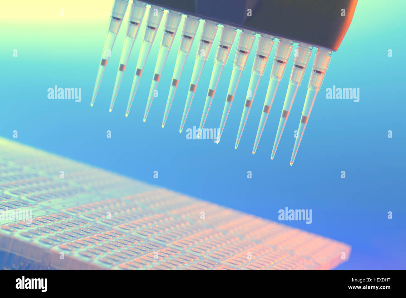 Micropipette tubes in the laboratory Stock Photo - Alamy