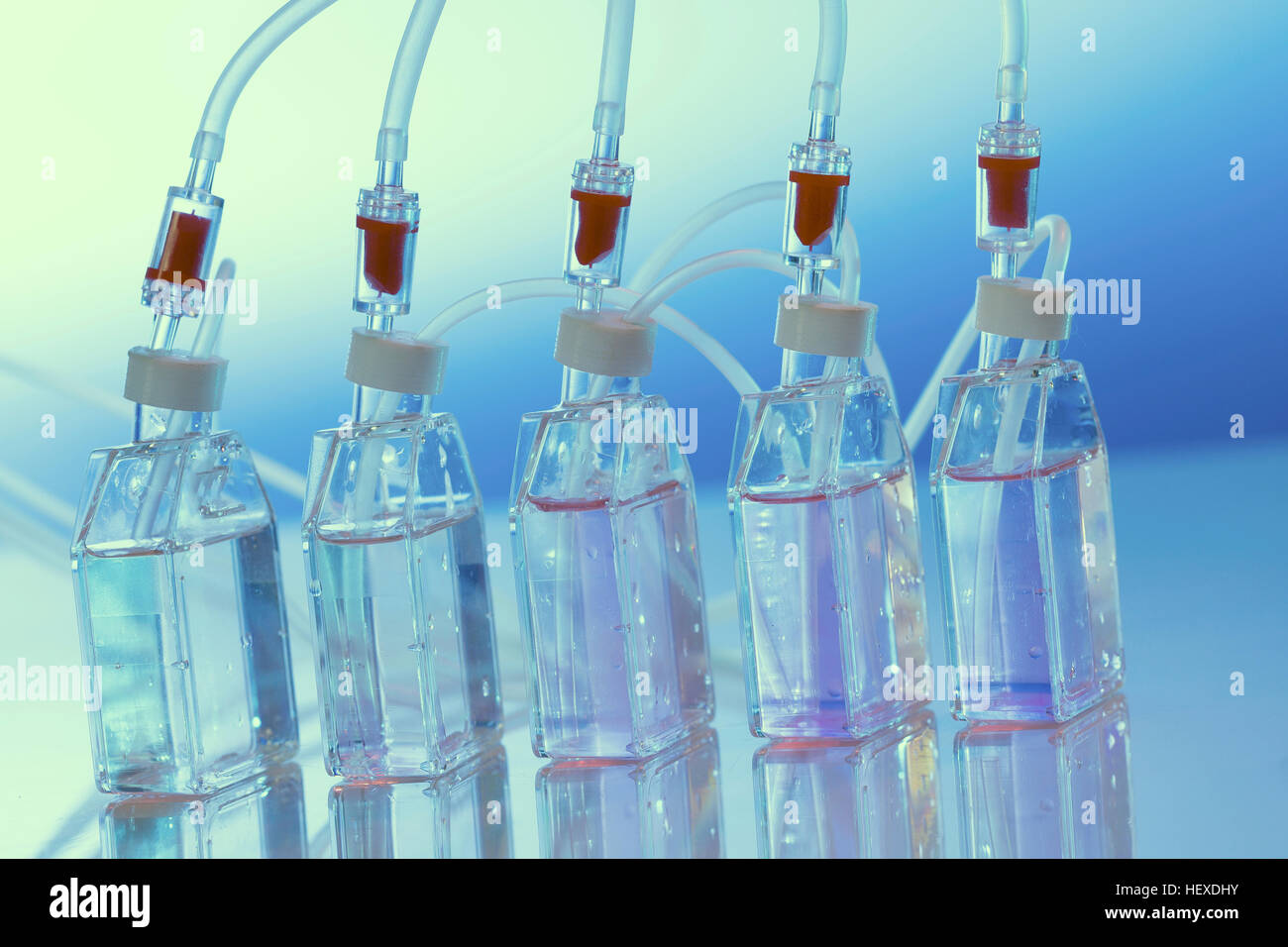 Tubes and containers with liquid in the laboratory Stock Photo - Alamy